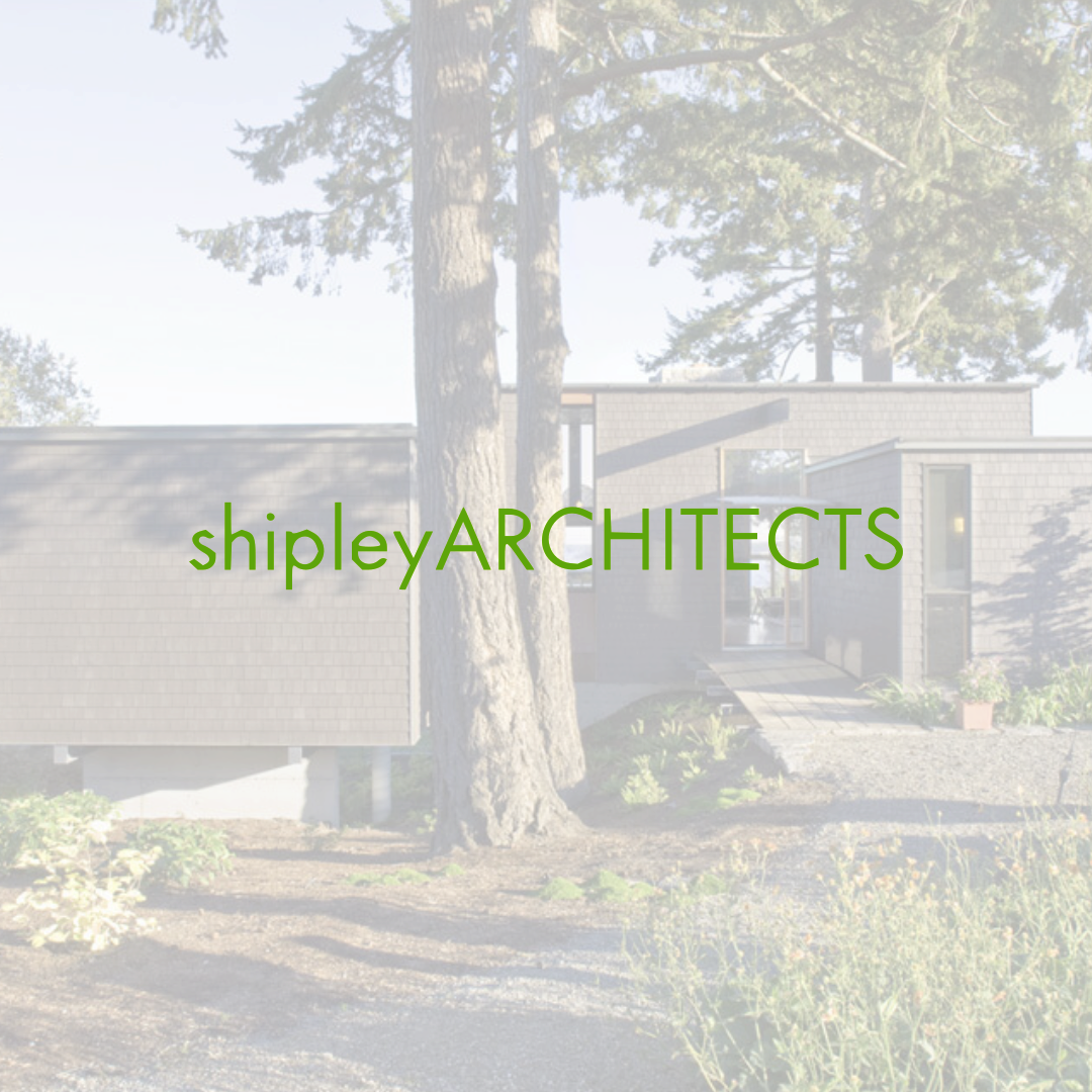 Shipley Architects - Brainy Bear